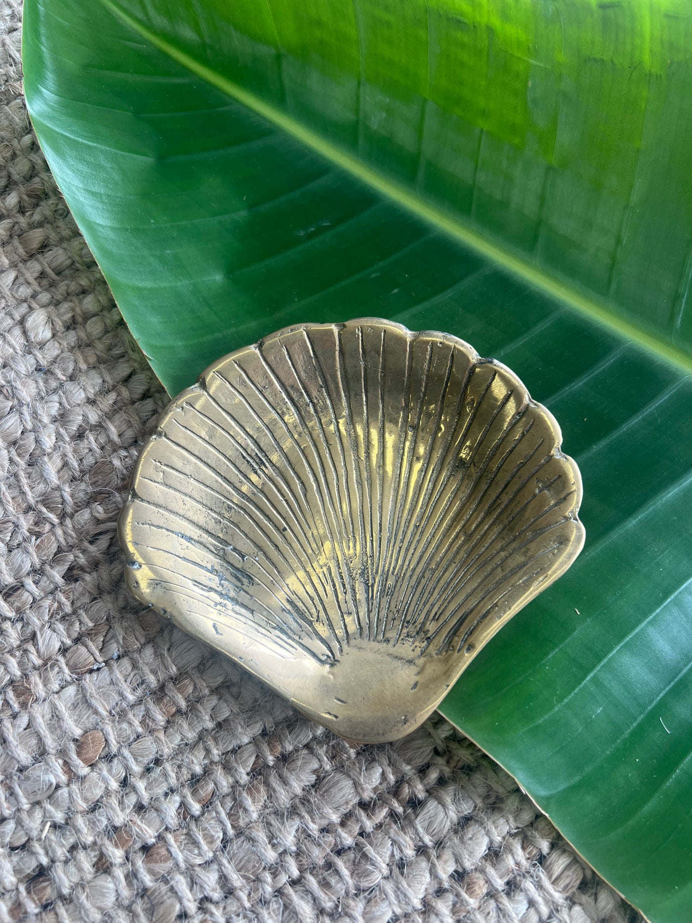 Shell Trinket Tray – harlowst